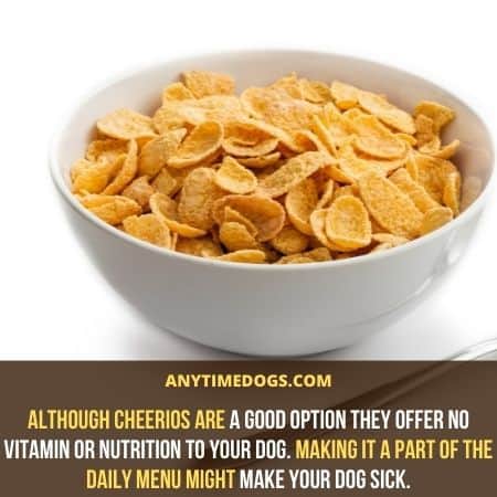 Is Corn Flakes Good For Dogs